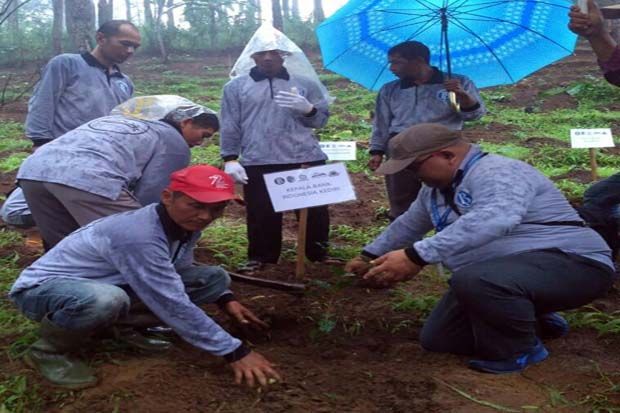 BI Bersama Petani, Tanam 25 Ribu Bibit Kopi di Lereng Wilis - SINDO Jatim